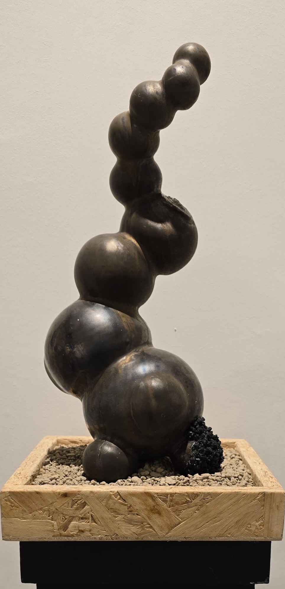 Steven Low | Transformation of life