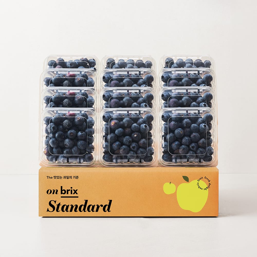 온브릭스 | [100개 한정수량] 항공직송 칠레산 생 블루베리 500g / 1kg / 1.5kg (14mm/18mm)