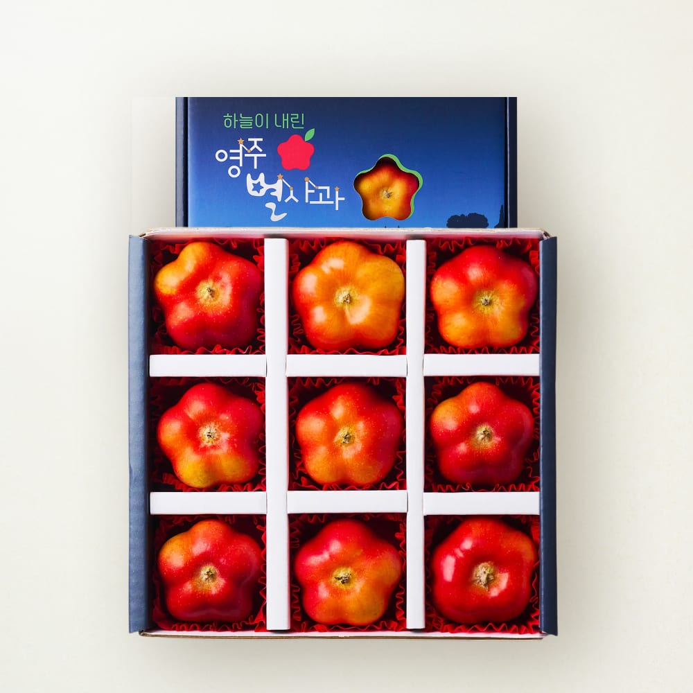 온브릭스 | [산지직송] 나무에 뜬 달콤별, 영주 별사과 선물세트 18brix 9입 (대과/특대과)
